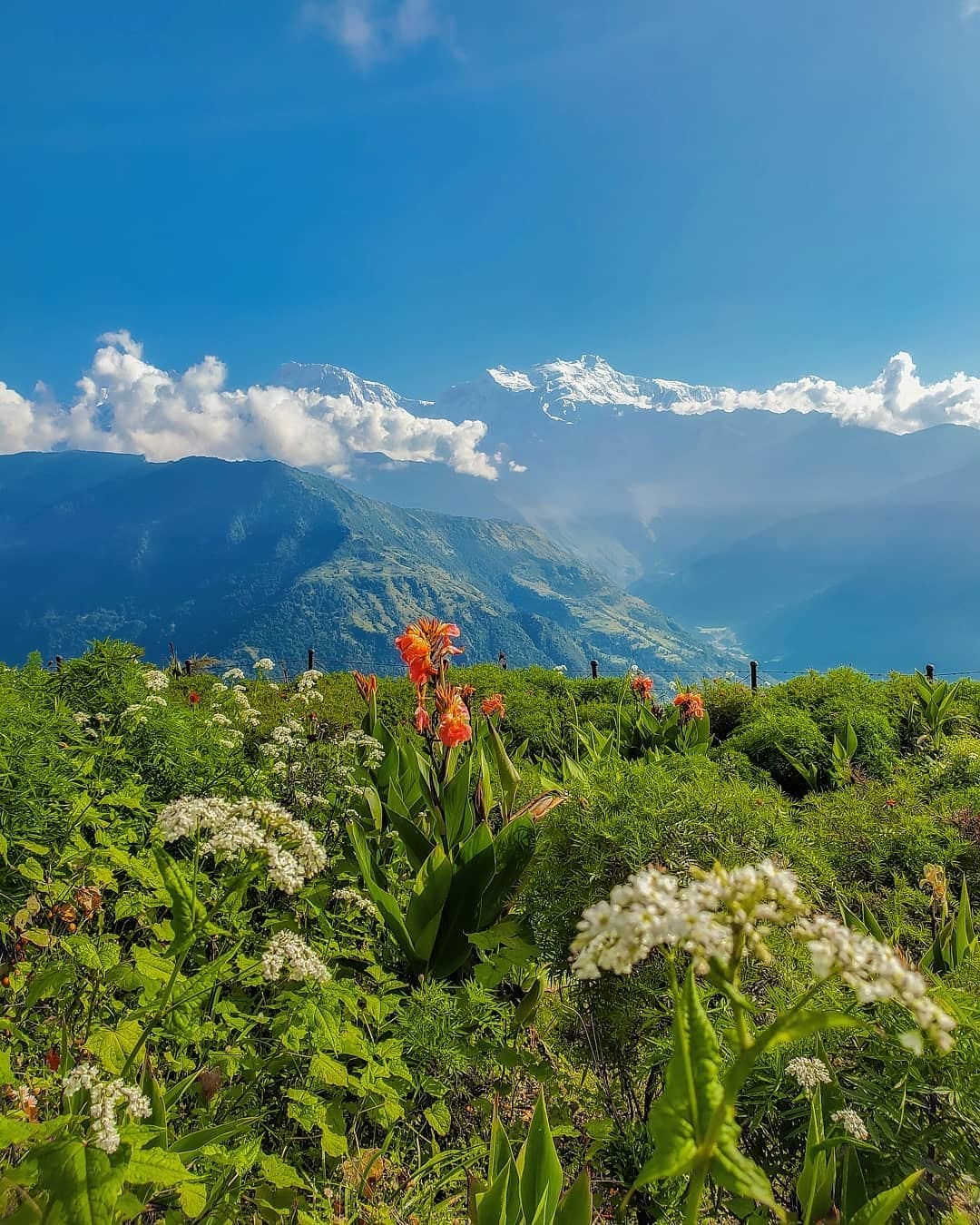लम्जुङ जिल्ला Lamjung District - चिनारी नेपाल